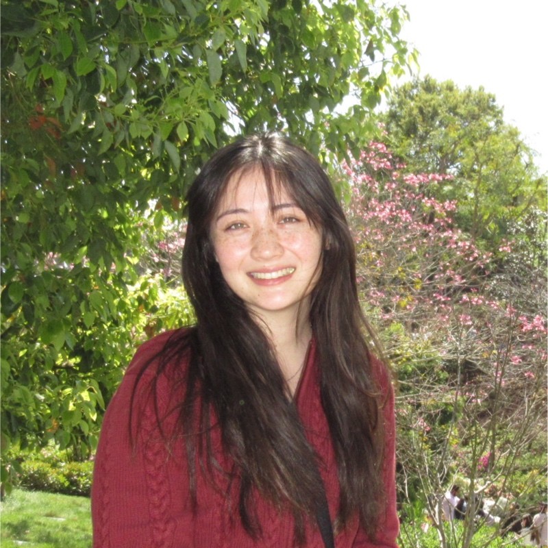 Vertical Flight Society